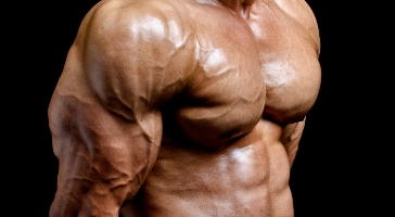 trizeps Übung - www.Fitness-xl.de